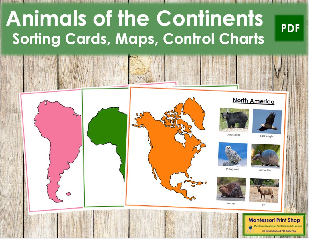 Animals of the Continents Set 2 color-coded Montessori - Etsy