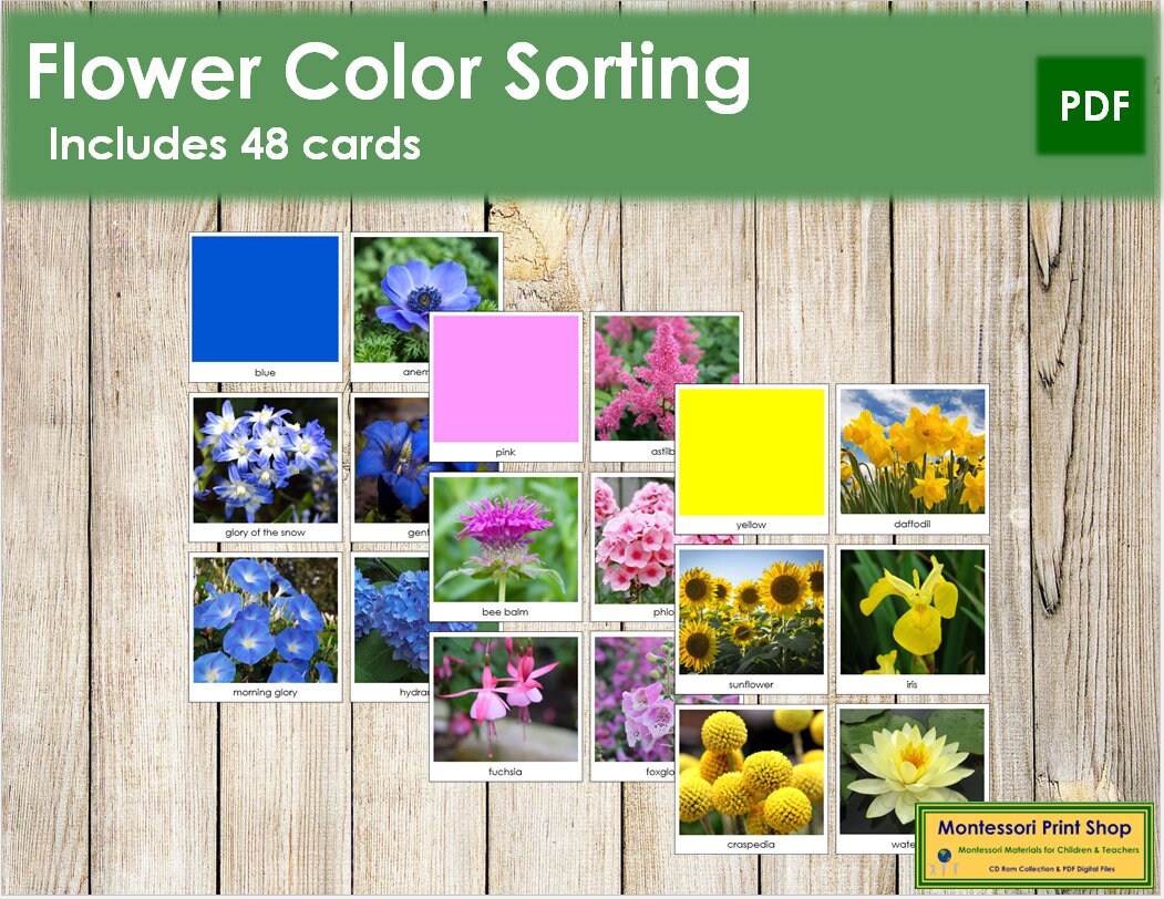 Flower Color Sorting Cards Montessori Sensorial Printable - Etsy