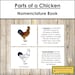 Parts of a Chicken Nomenclature Book - Montessori Zoology (digital ...