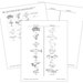 Oviparous and Viviparous Animals Blackline Masters Zoology Printable ...