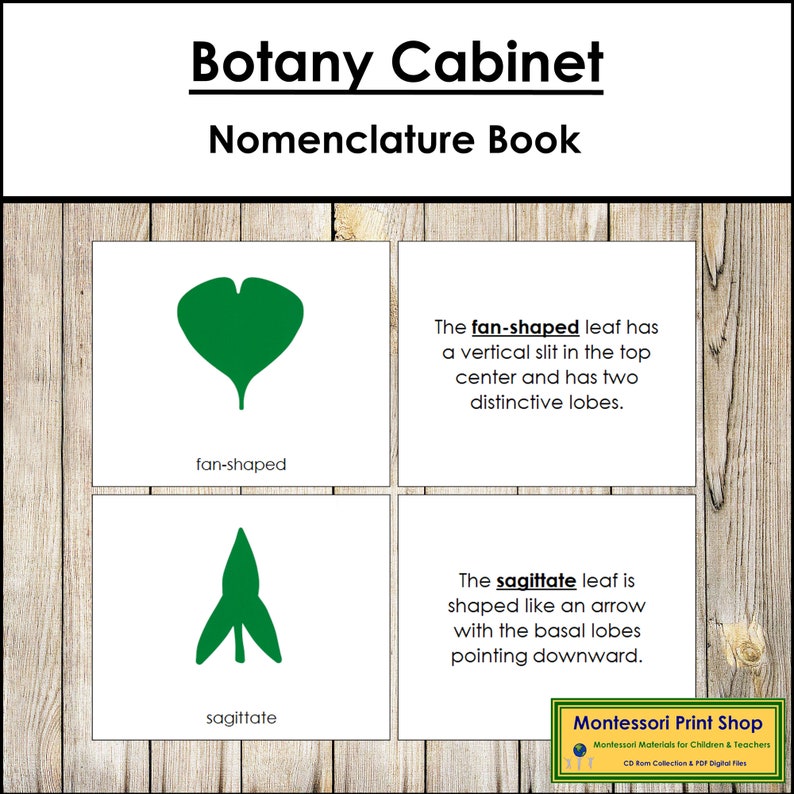 Montessori Botany Cabinet Nomenclature Book - Leaf Shapes (digital ...