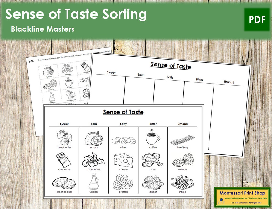 Sense of Taste Sorting Blackline Masters Montessori Science | Etsy
