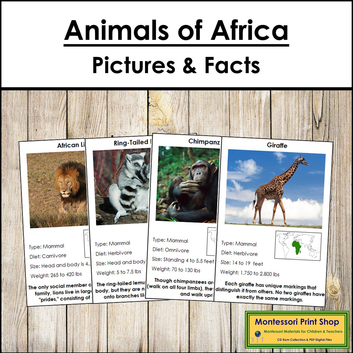 Animals of Africa Facts & Picture Cards (Download Now) - Etsy