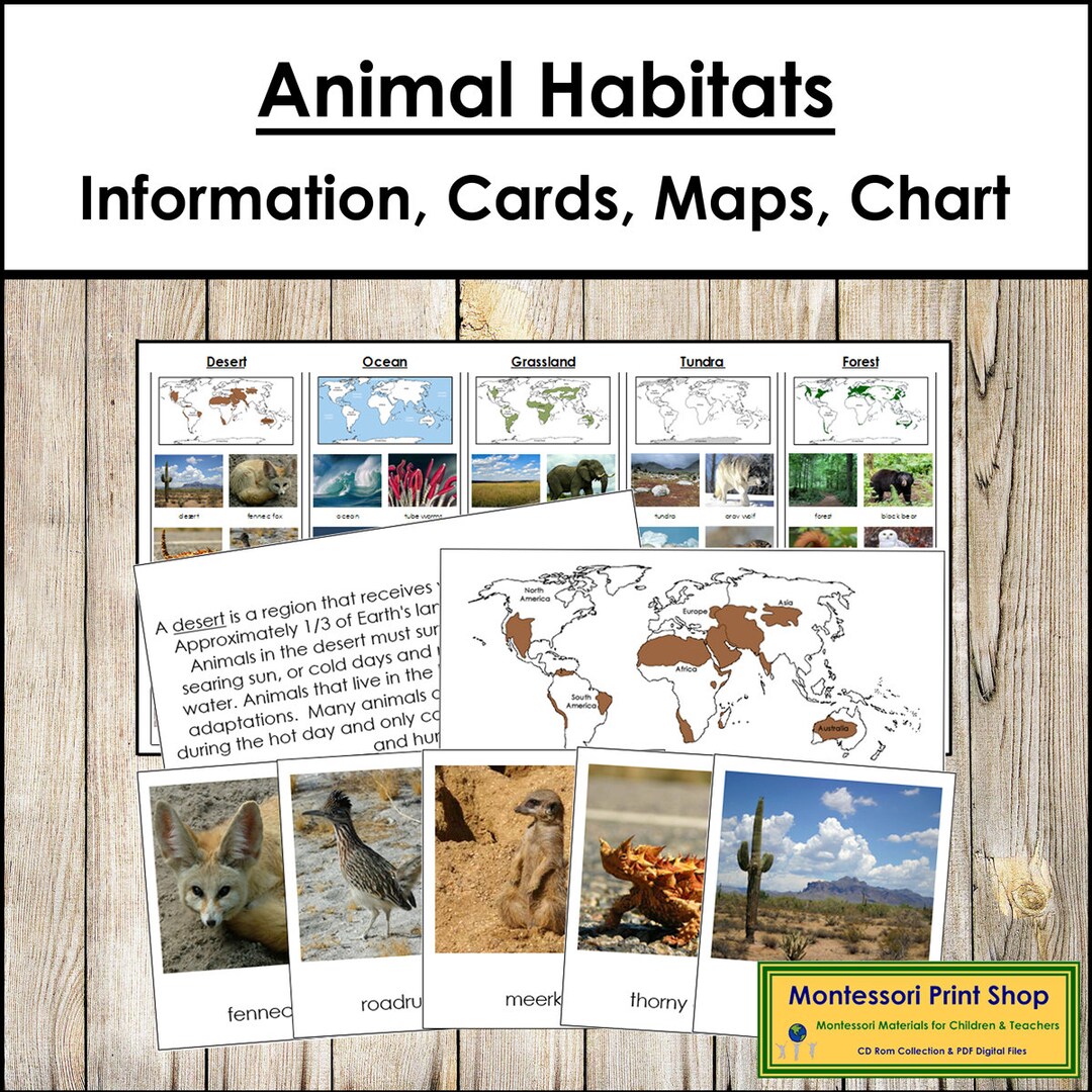 Animals and Their Habitats Sorting Cards, Maps, and Chart - Montessori ...
