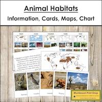 Classes of Vertebrates Sorting Cards & Control Chart Zoology Printable ...