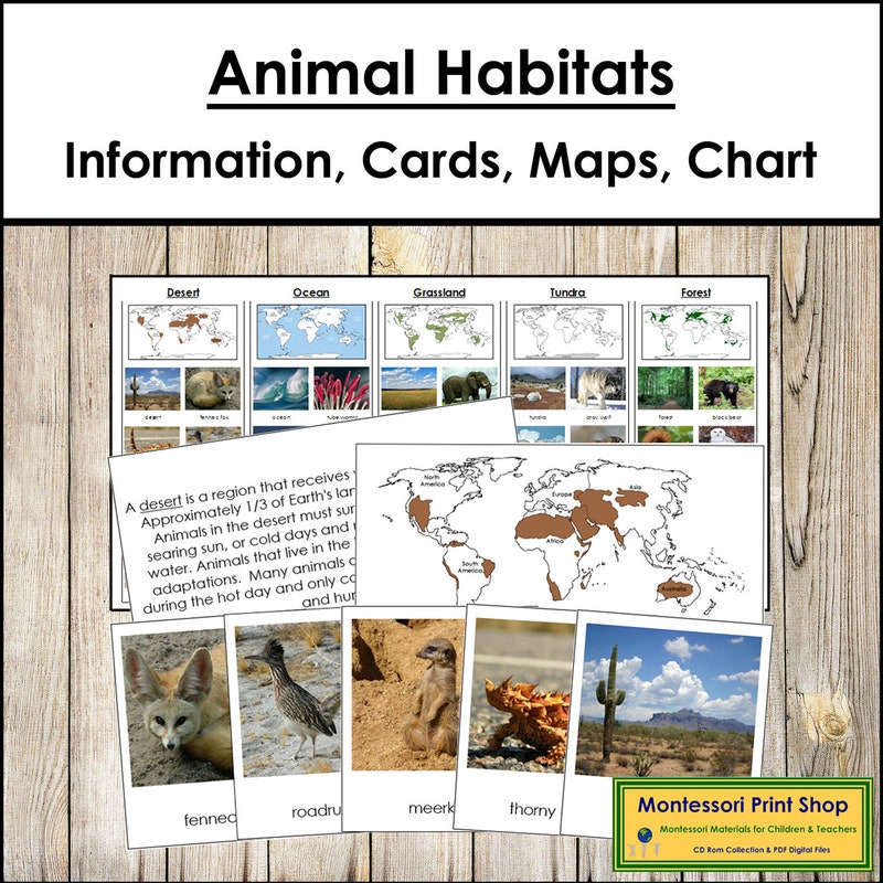 MontessoriPrintShop - Etsy