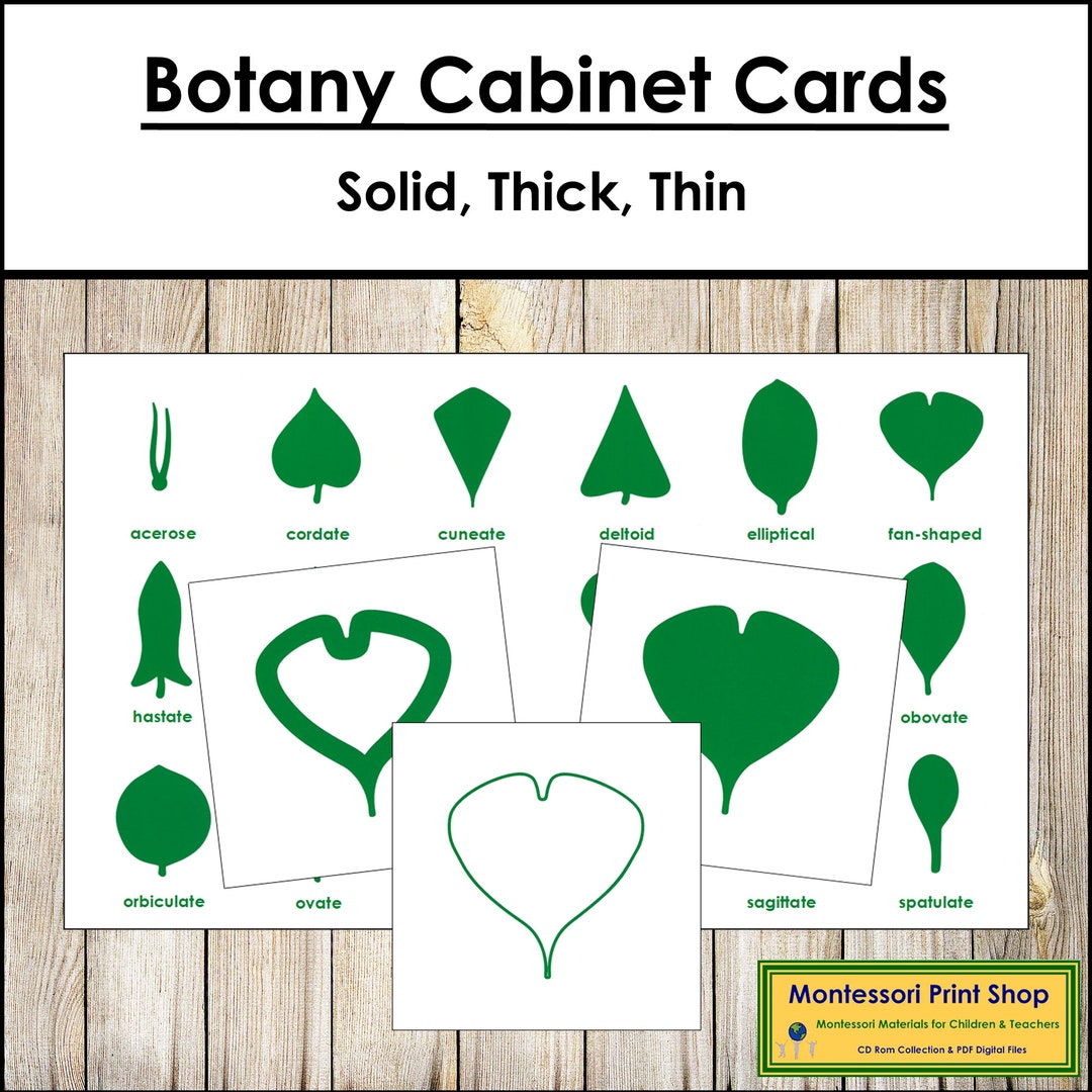Montessori Botany Cabinet Cards & Control Chart (solid, Thick, Thin ...