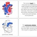 Parts of a Human Heart Nomenclature Book - Science - Printable ...