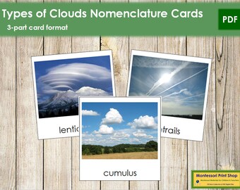 Types of Weather Nomenclature 3-part Cards Science | Etsy