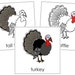 Parts of a Turkey Nomenclature 3-part Cards & Blackline Master ...