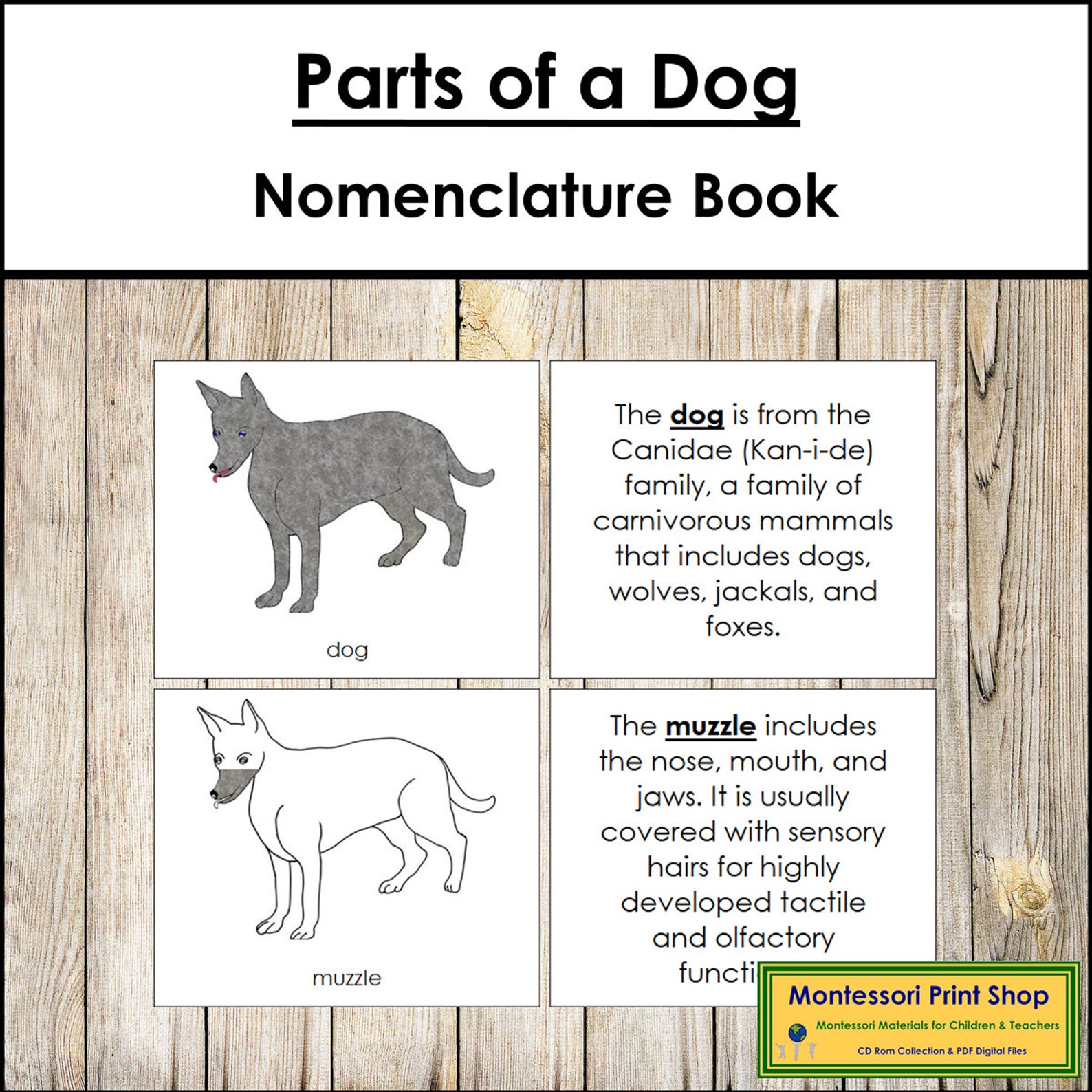 Parts of a Dog Nomenclature Book - Montessori Zoology (digital Download ...