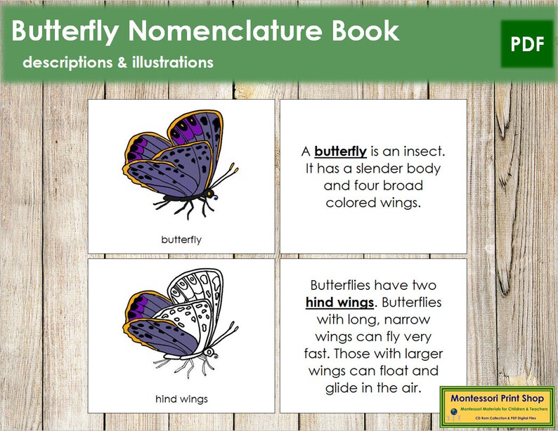 Parts of a Butterfly Nomenclature Book Montessori Zoology | Etsy