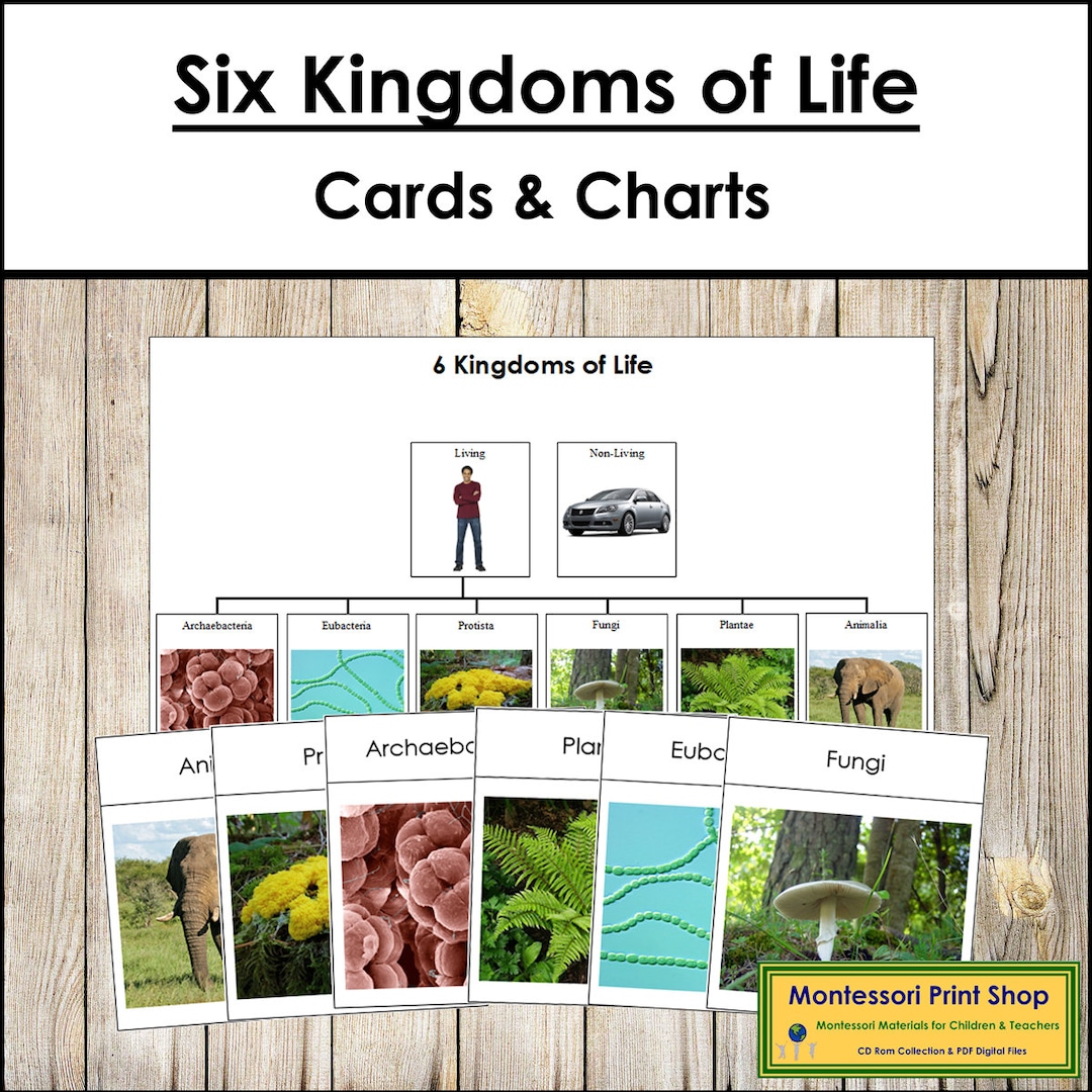 Six Kingdoms of Life Cards & Charts - Montessori Botany Classification ...