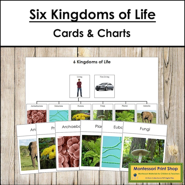 Six Kingdoms of Life Montessori - Etsy