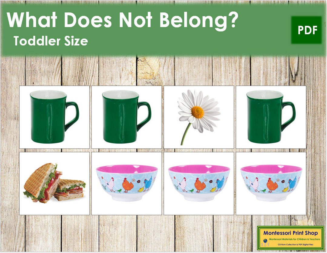 What Does Not Belong Printable Toddler Montessori Materials - Etsy