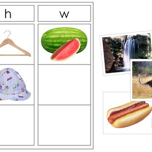 Phonics Sound & Picture Sorting - Montessori Language Activity (digital ...