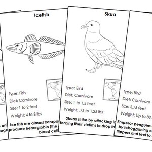 Animals of the World Information Cards Bundle (blackline Masters ...