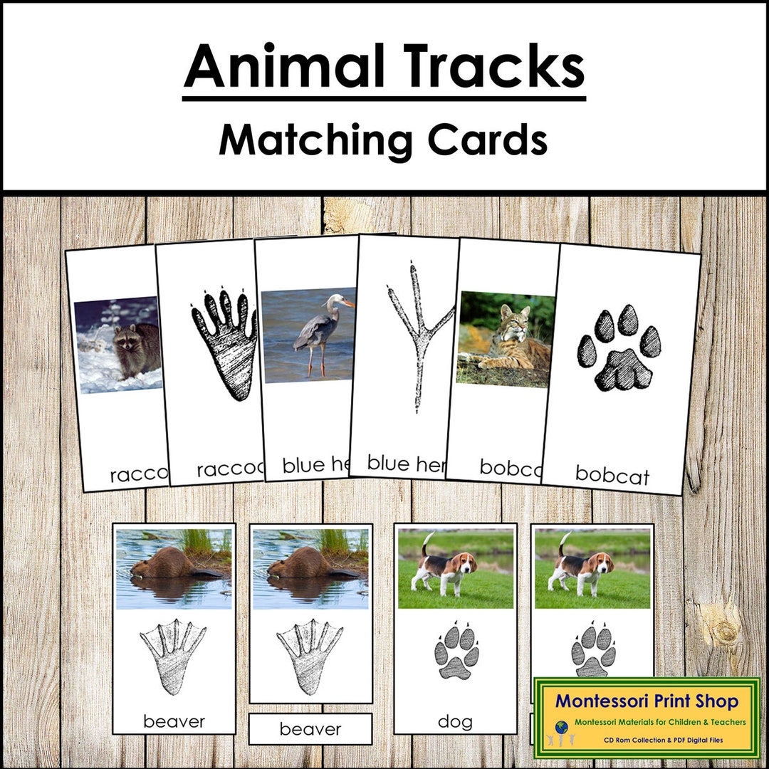 Animal Tracks Matching Cards (footprints) - Zoology - Printable ...