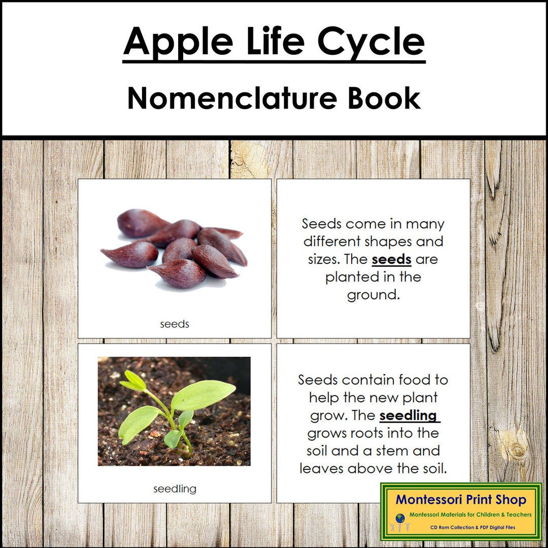 The Apple Life Cycle Book - Montessori Nomenclature - Printable ...