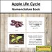 The Apple Life Cycle Book Montessori Nomenclature Printable Montessori ...