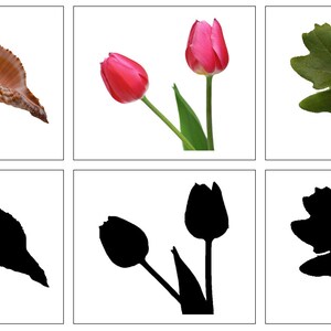 Silhouette Matching Cards (nature Objects) - Printable Montessori ...
