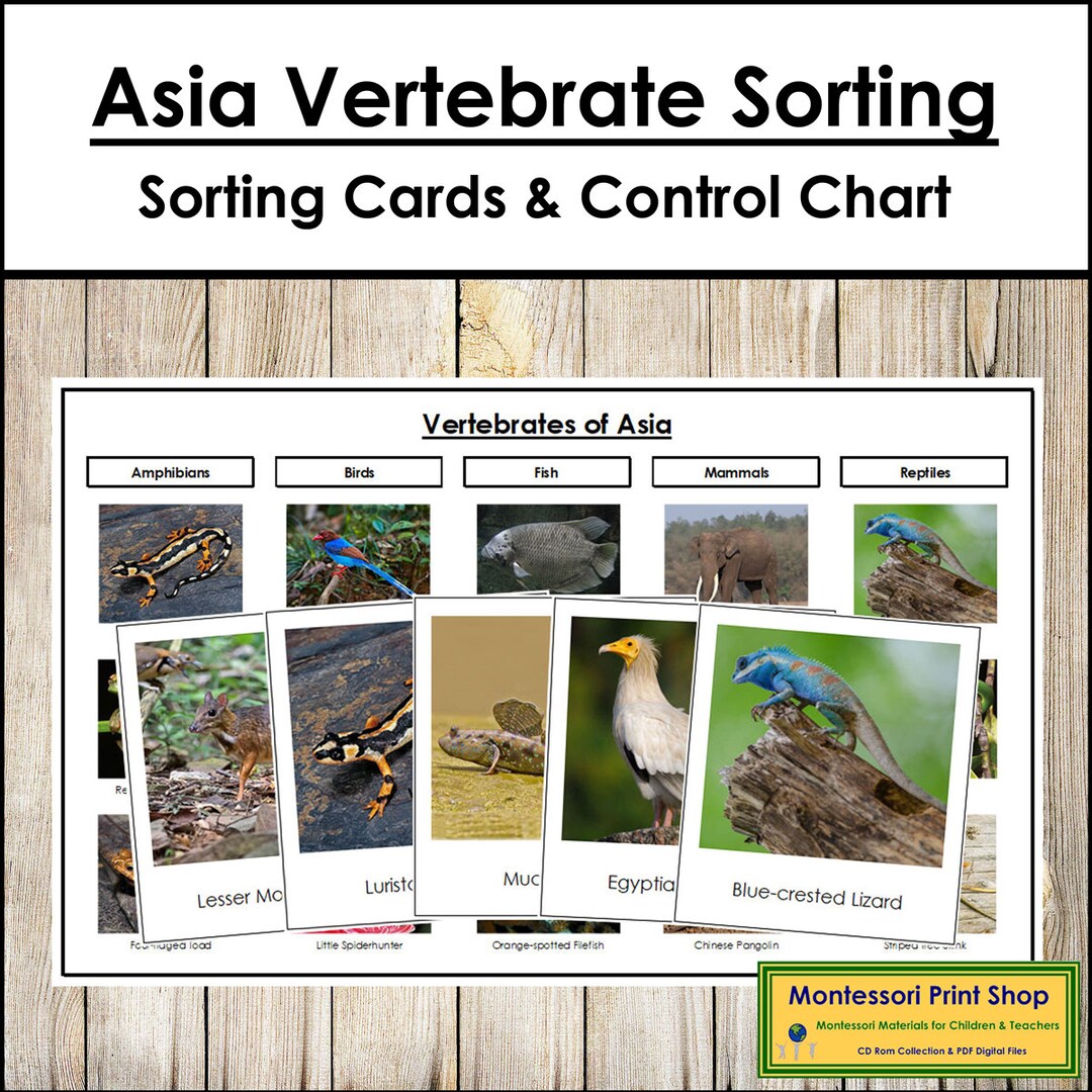 Montessori Vertebrates of Asia Sorting Cards & Chart - Animal Zoology ...