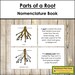 Parts of a Root Nomenclature Book - Montessori Botany (digital Download ...