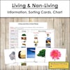 LIVING / Non-living • 80 Editable Montessori Cards • Flash Cards ...