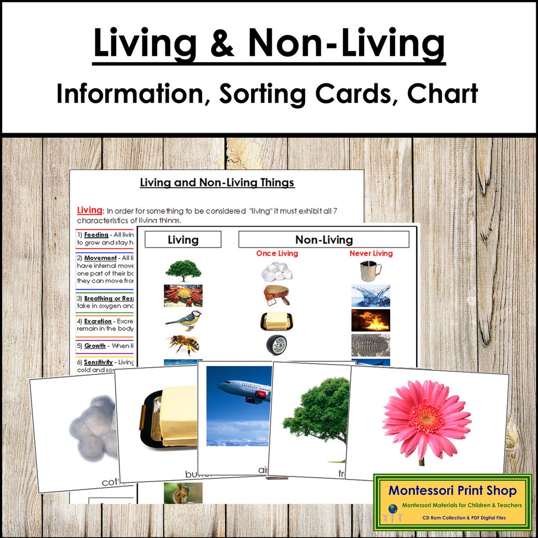 Living and Non-living Sorting Cards & Control Chart - Montessori ...
