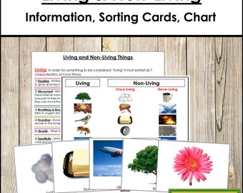 Living and Nonliving Sort Preschool Homeschool Preschool - Etsy