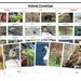Montessori Animal Coverings Sorting Cards & Chart [scales, Feathers and ...