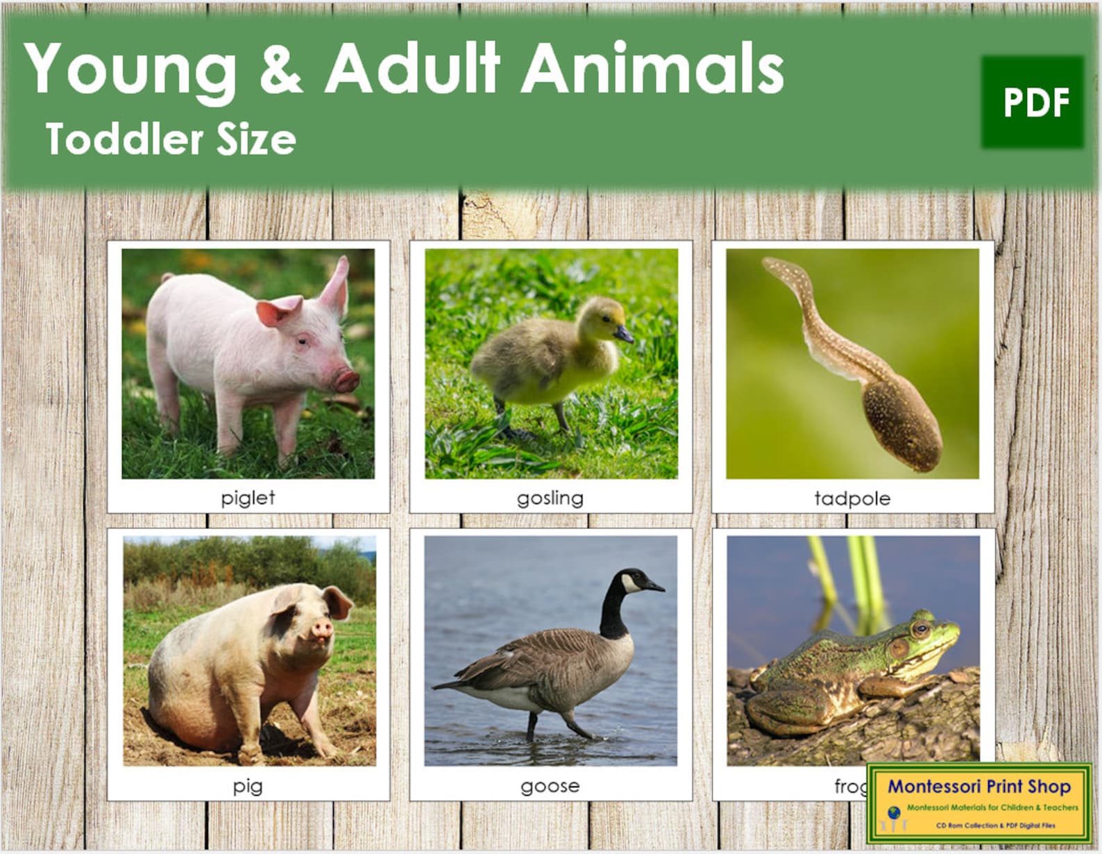 Young & Adult Animal Matching Cards Printable Toddler - Etsy