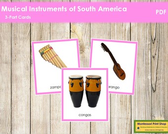 Musical Instruments of Asia color-coded Montessori | Etsy