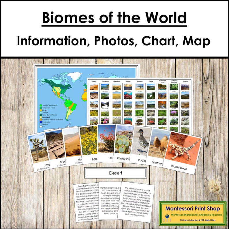 Biomes of the World Sorting Cards, Chart and Information - Montessori ...