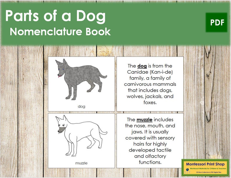 Parts of a Dog Nomenclature Book Montessori Zoology - Etsy