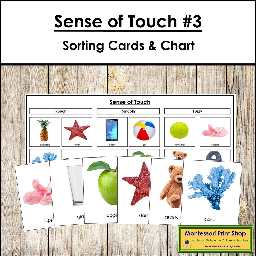Sense of Touch Sorting Cards & Chart Set 3 - Montessori Science ...