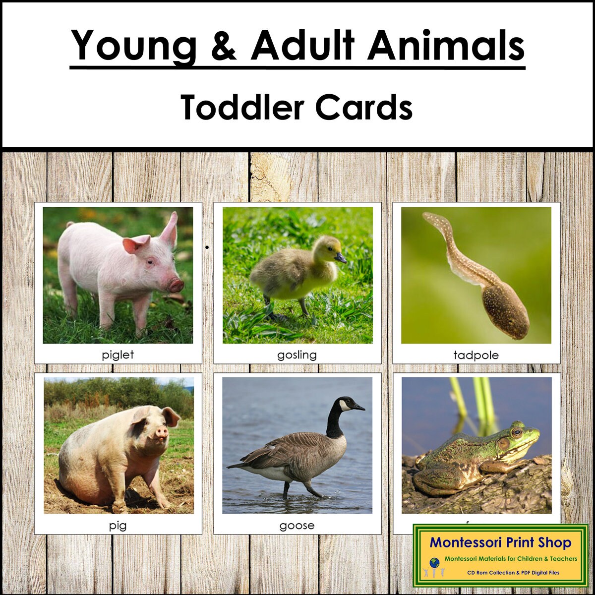 Young & Adult Animal Matching Cards - Printable Toddler Montessori ...