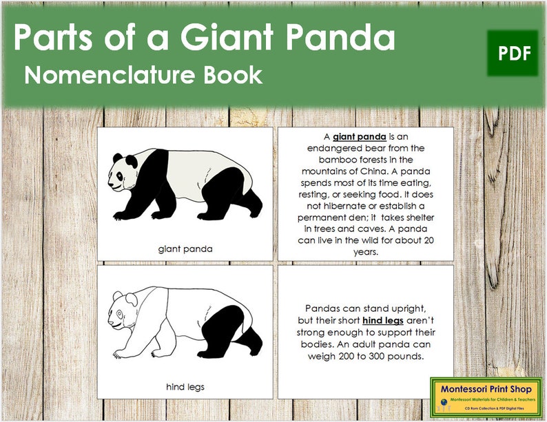 Parts of a Giant Panda Nomenclature Book Montessori Zoology - Etsy Canada