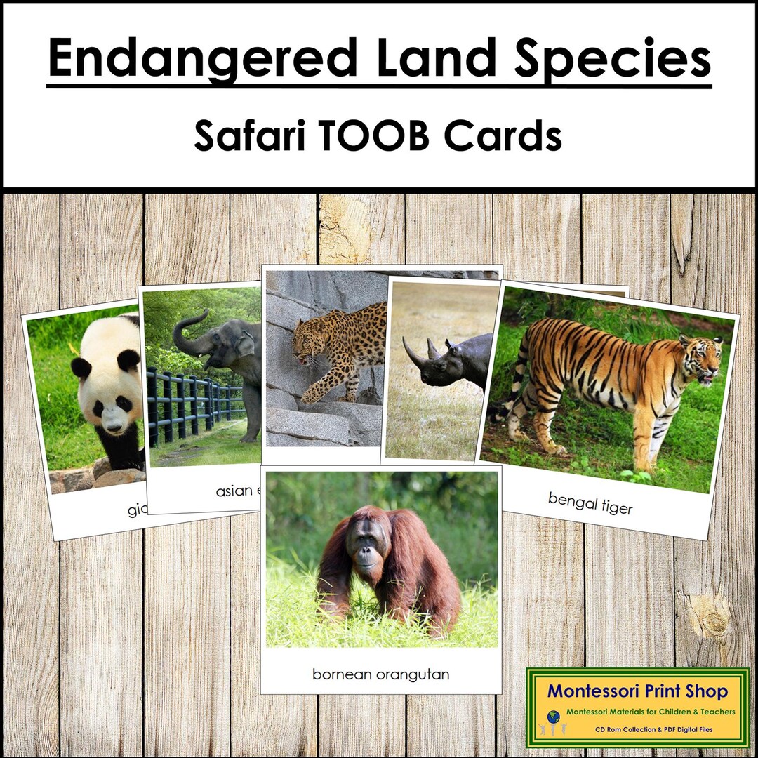Endangered Land Species Safari TOOB Cards - Montessori 3-part Cards ...