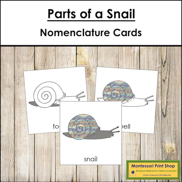 Snail - Etsy