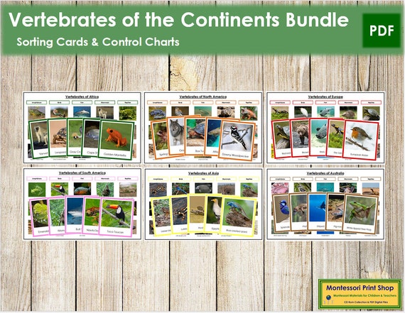 Vertebrates of the Continents Sorting Montessori Zoology | Etsy