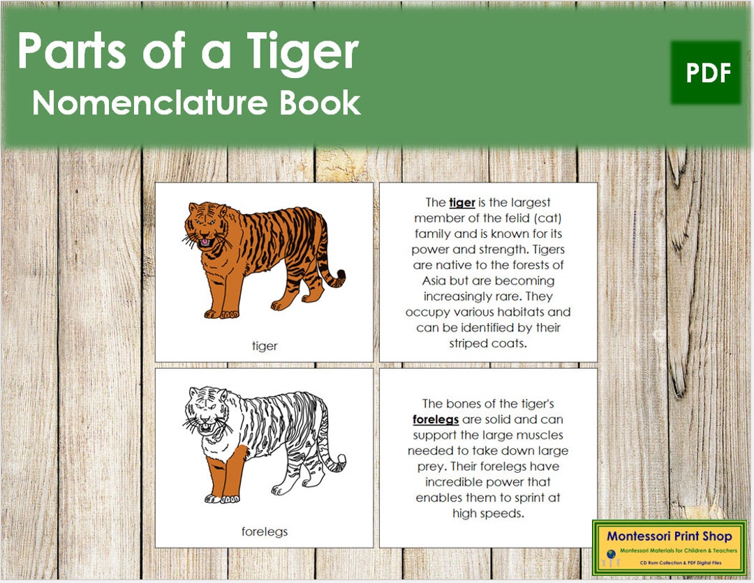 Parts of a Tiger Nomenclature Book Zoology Printable - Etsy