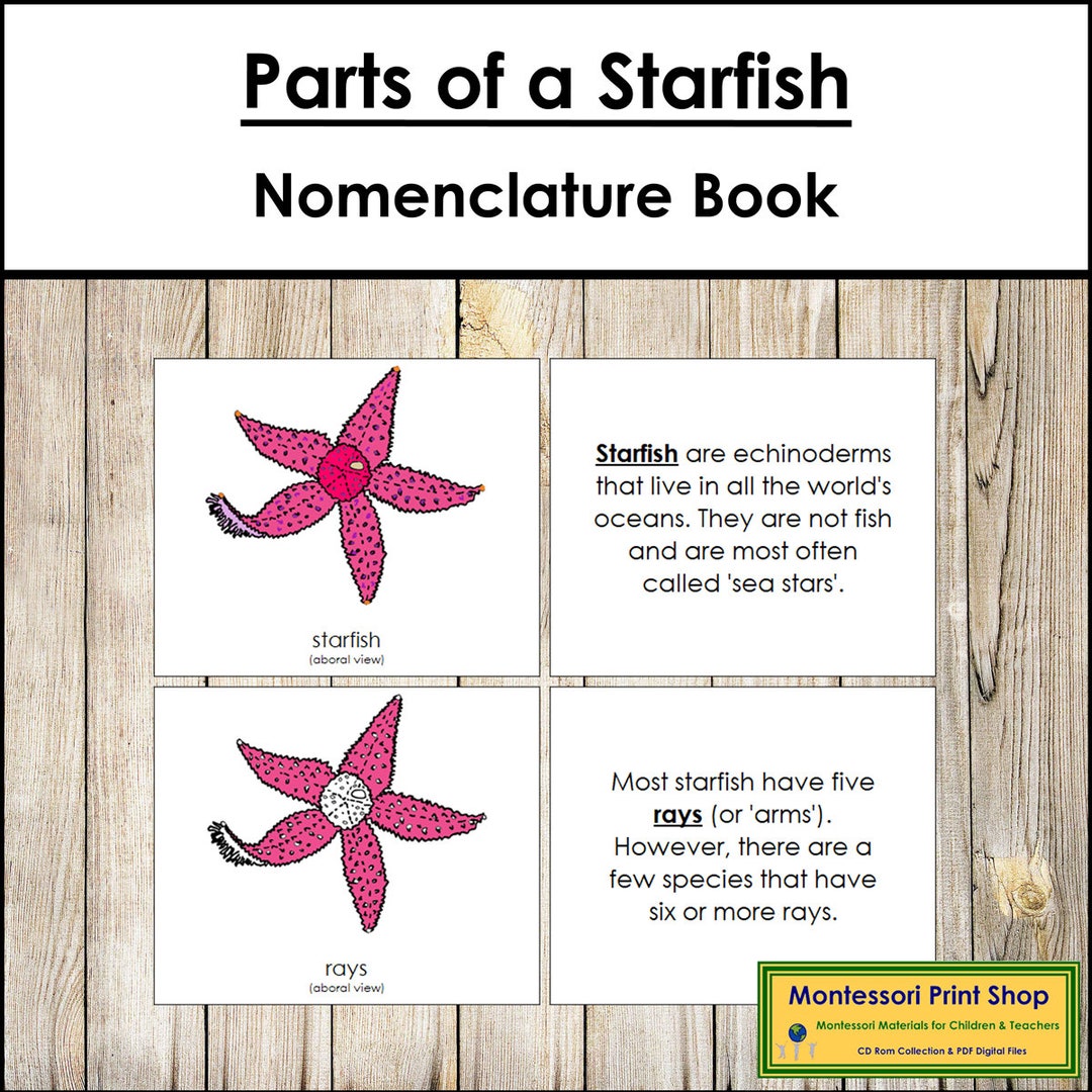 Parts of a Starfish Nomenclature Book - Montessori Zoology (digital ...