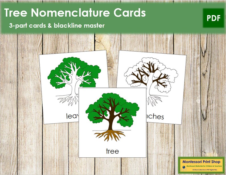 Parts of a Tree Nomenclature 3-part Cards Montessori Botany | Etsy
