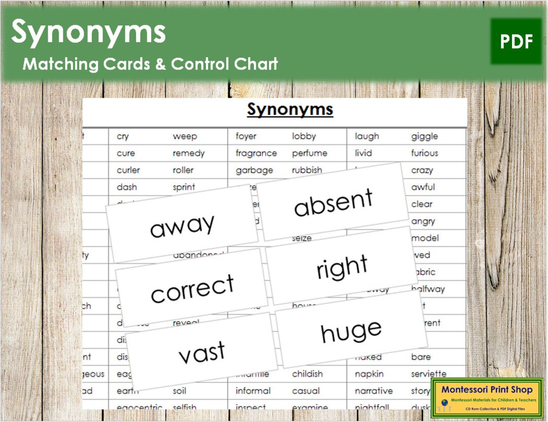 Synonyms Montessori Grammar Printable Montessori Materials - Etsy