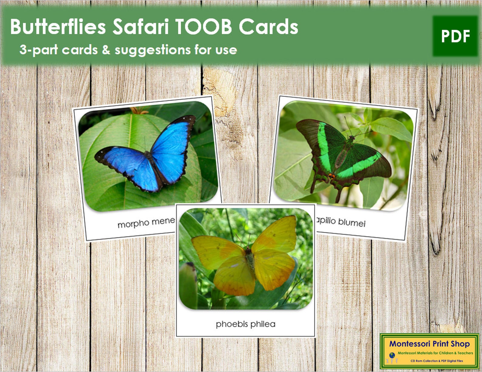 Butterflies Safari TOOB Cards Printable Montessori Cards | Etsy