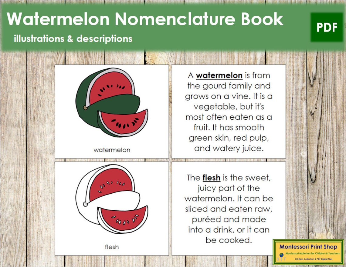 Parts of a Watermelon Nomenclature Book Botany Printable | Etsy Canada