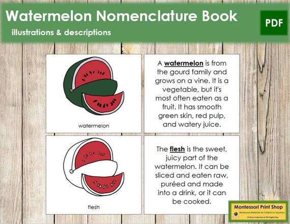 Parts of a Watermelon Nomenclature Book Botany Printable | Etsy Canada