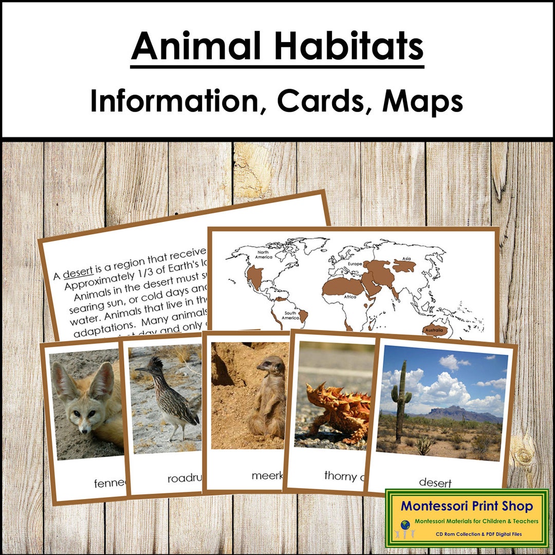 Animals and Their Habitats (color-coded) - Zoology - Printable ...