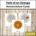 Parts of an Orange Nomenclature 3-part Cards & Blackline Master ...